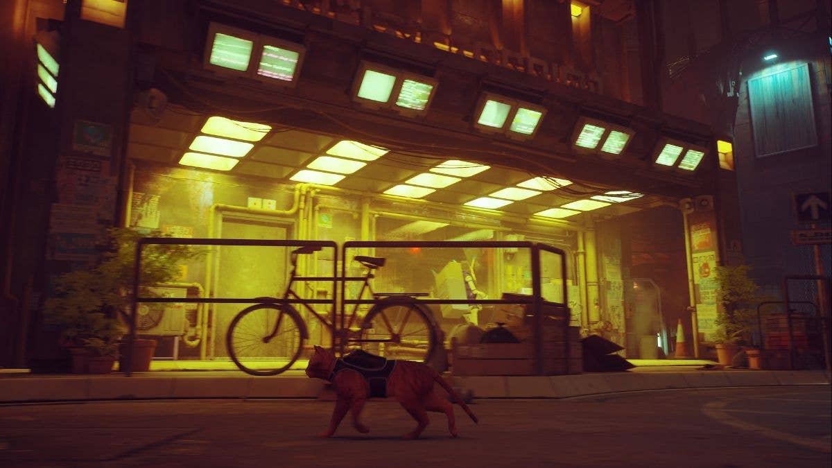 Stray Arrives On Nintendo Switch 2 With Several Upgrades - GameDaily
