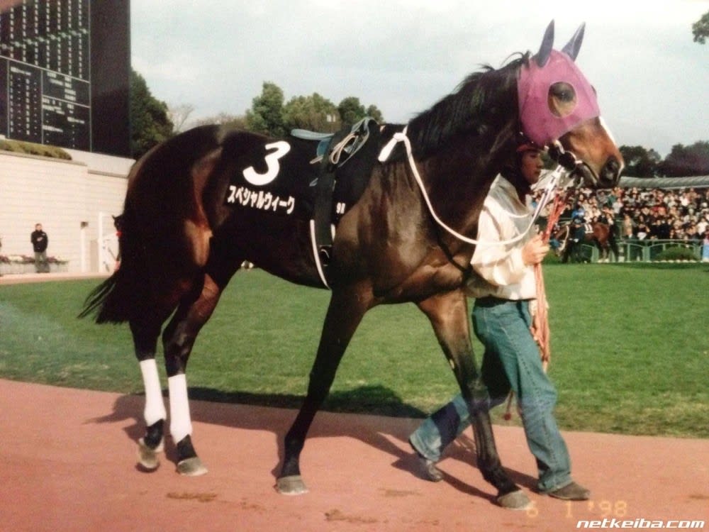 The Real-Life Inspirations Behind Umamusume's Horse Girls - GameDaily