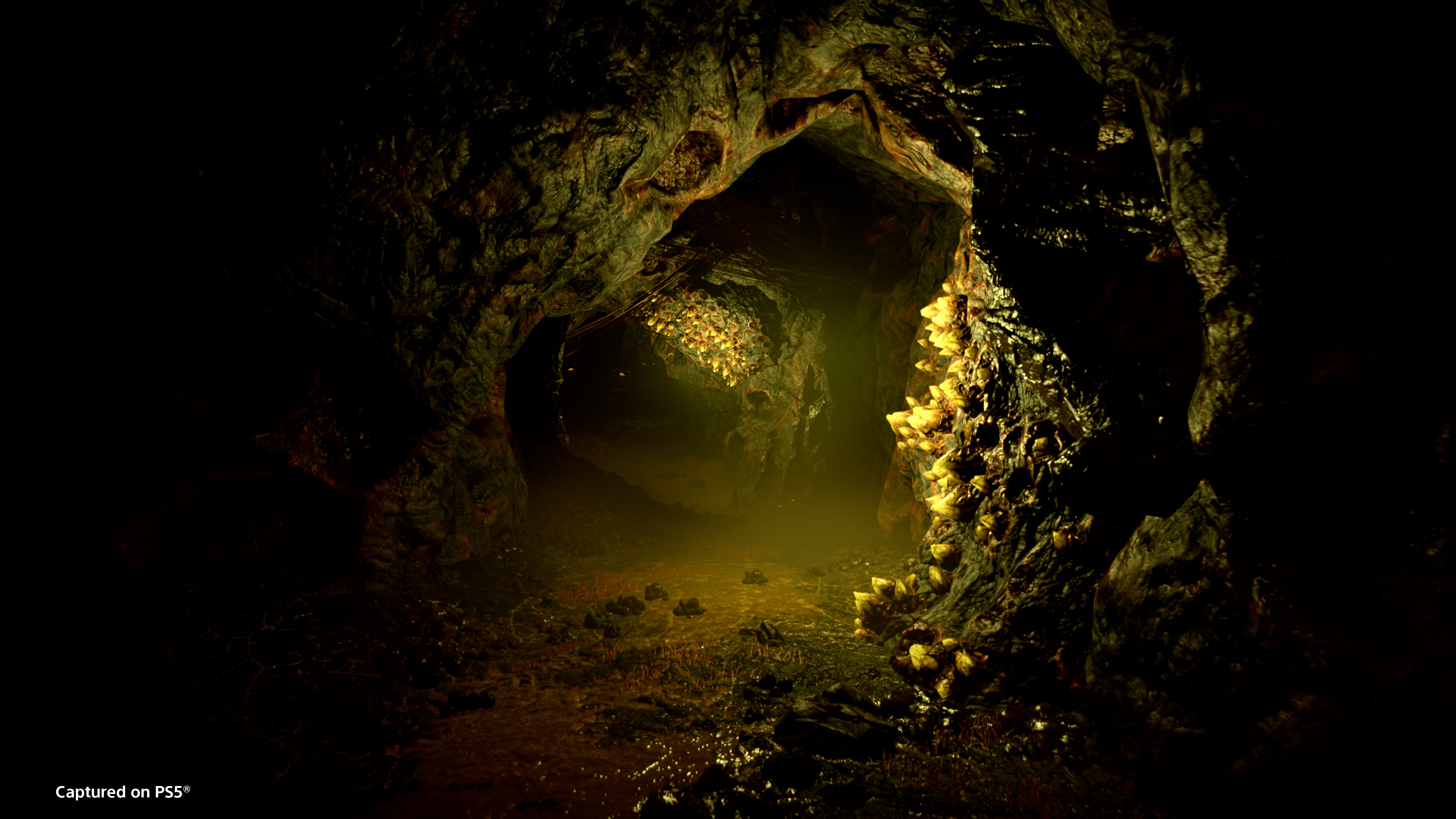 Helldivers 2 Reveals Crossover Warbond With Halo: ODST - GameDaily