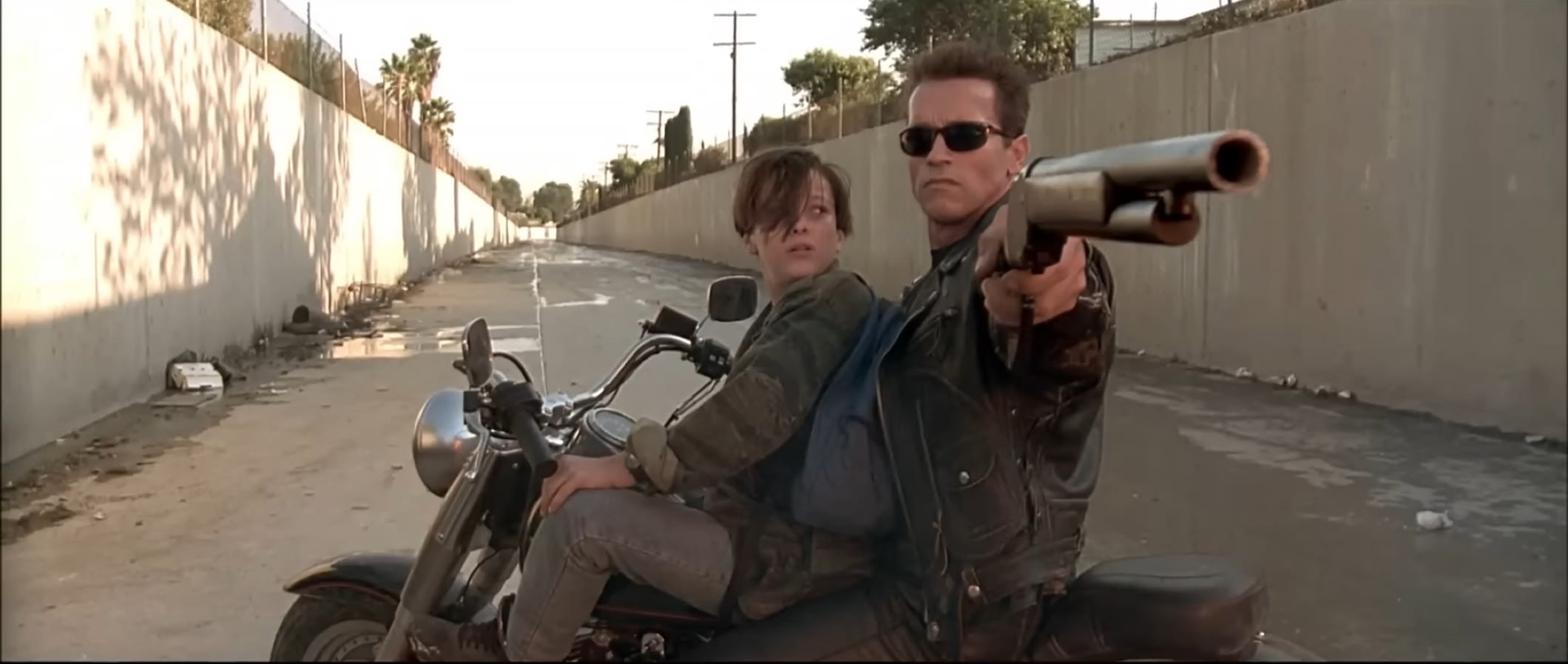 Terminator 2D: No Fate Delayed Again, And It's Donald Trump's Fault ...
